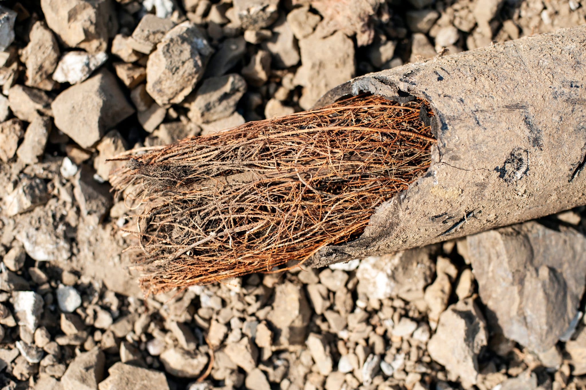 The Real Reasons Sewer Lines Fail — And How Professional Repair Saves ...